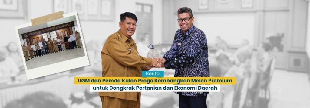 UGM dan Pemda Kulon Progo Kembangkan Melon Premium untuk Dongkrak ...